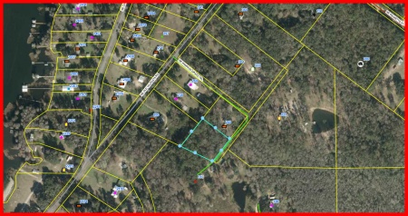 NE PAMPASS GRASS TRL, Pinetta Florida 32350